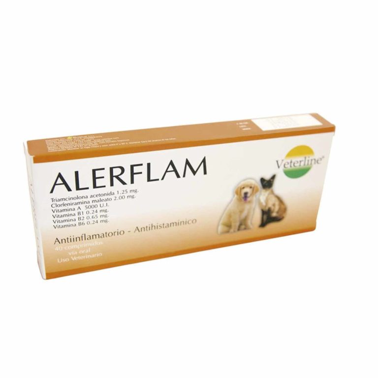 PERROS - Mascota Veloz